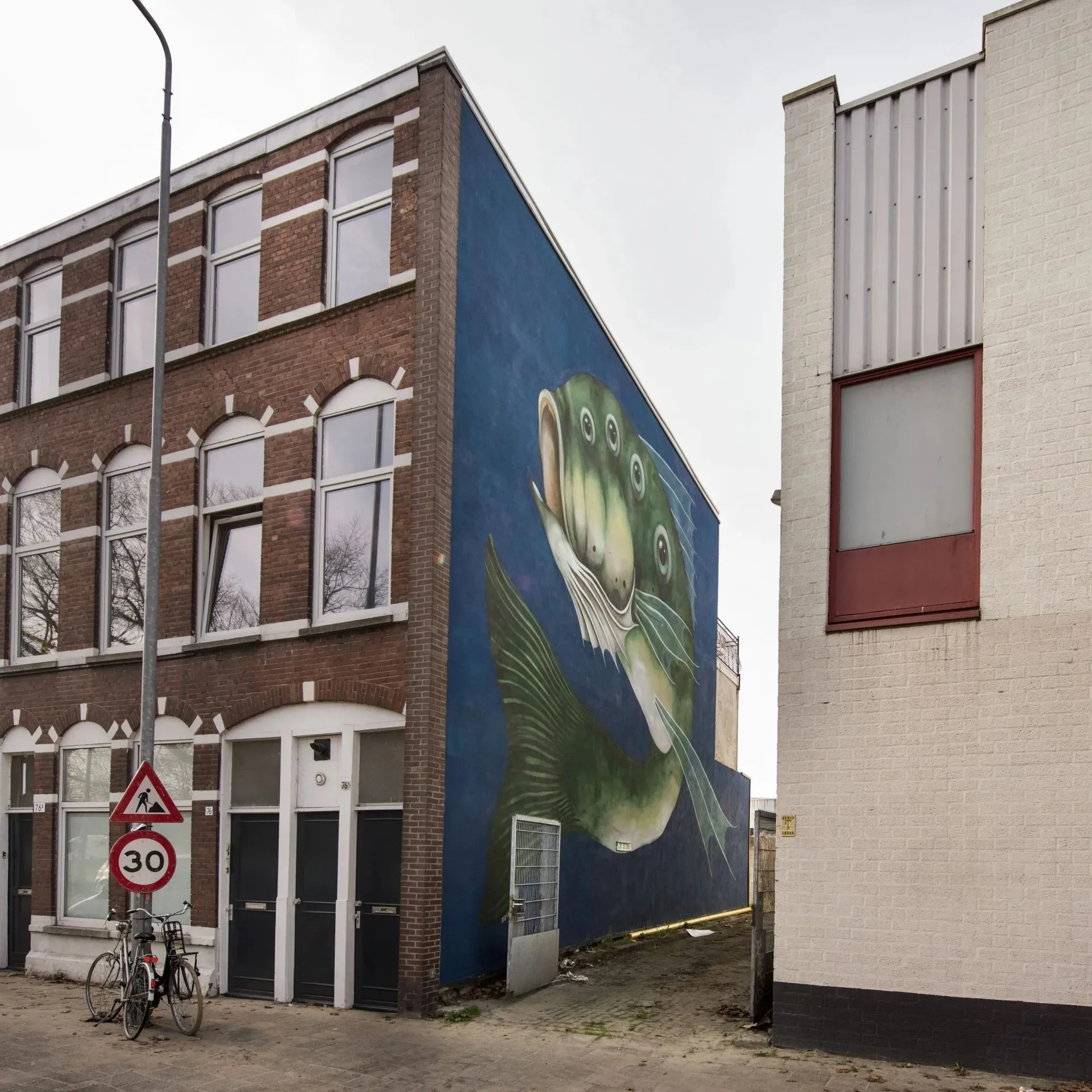 Blind Wall: De gemuteerde baars van Ana Marietta - Explore Breda