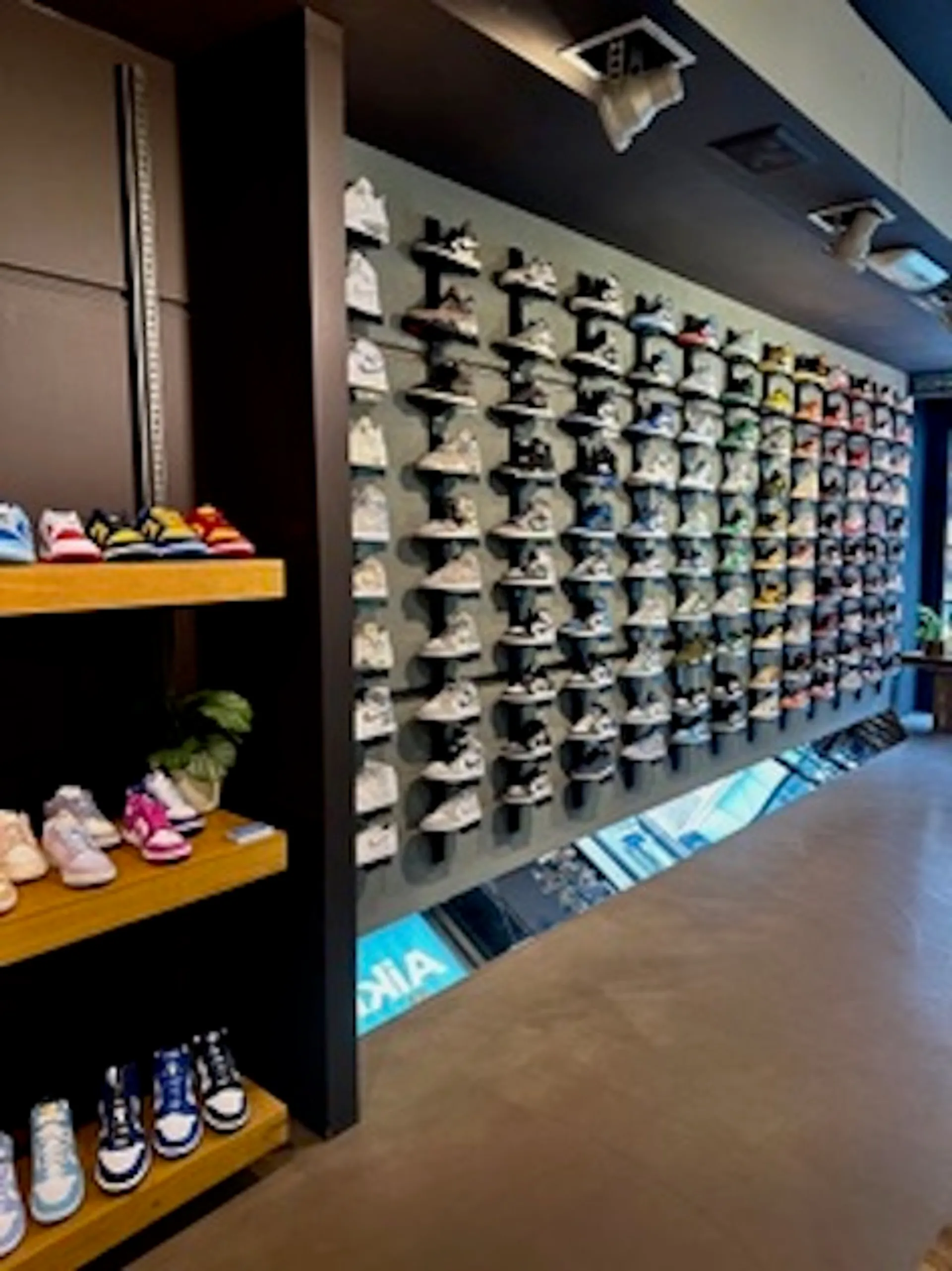 Kyaro - Explore Breda