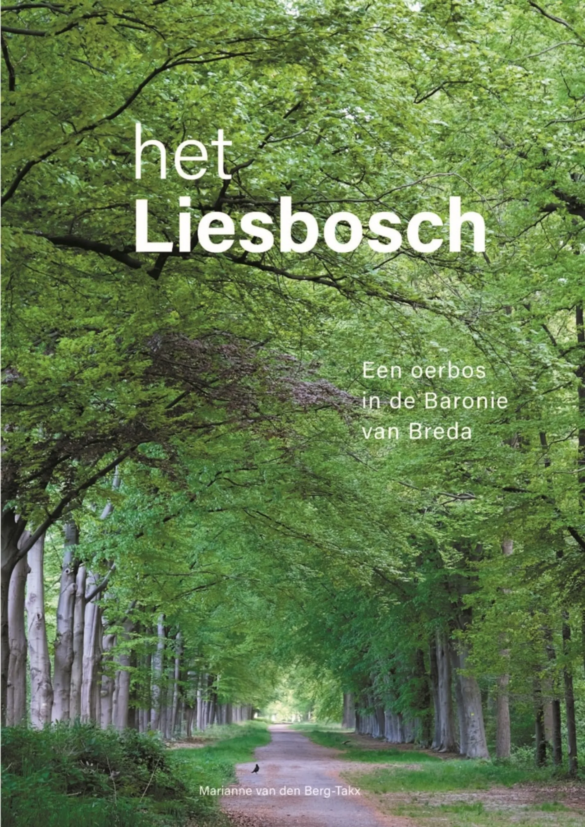 Lezing: Het Liesbosch, een oerbos in de Baronie van Breda - Explore Breda