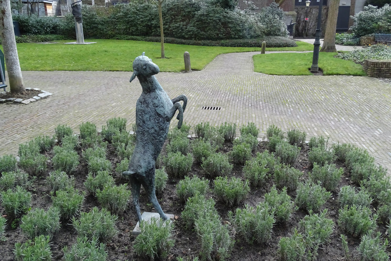 Bokje - Explore Breda