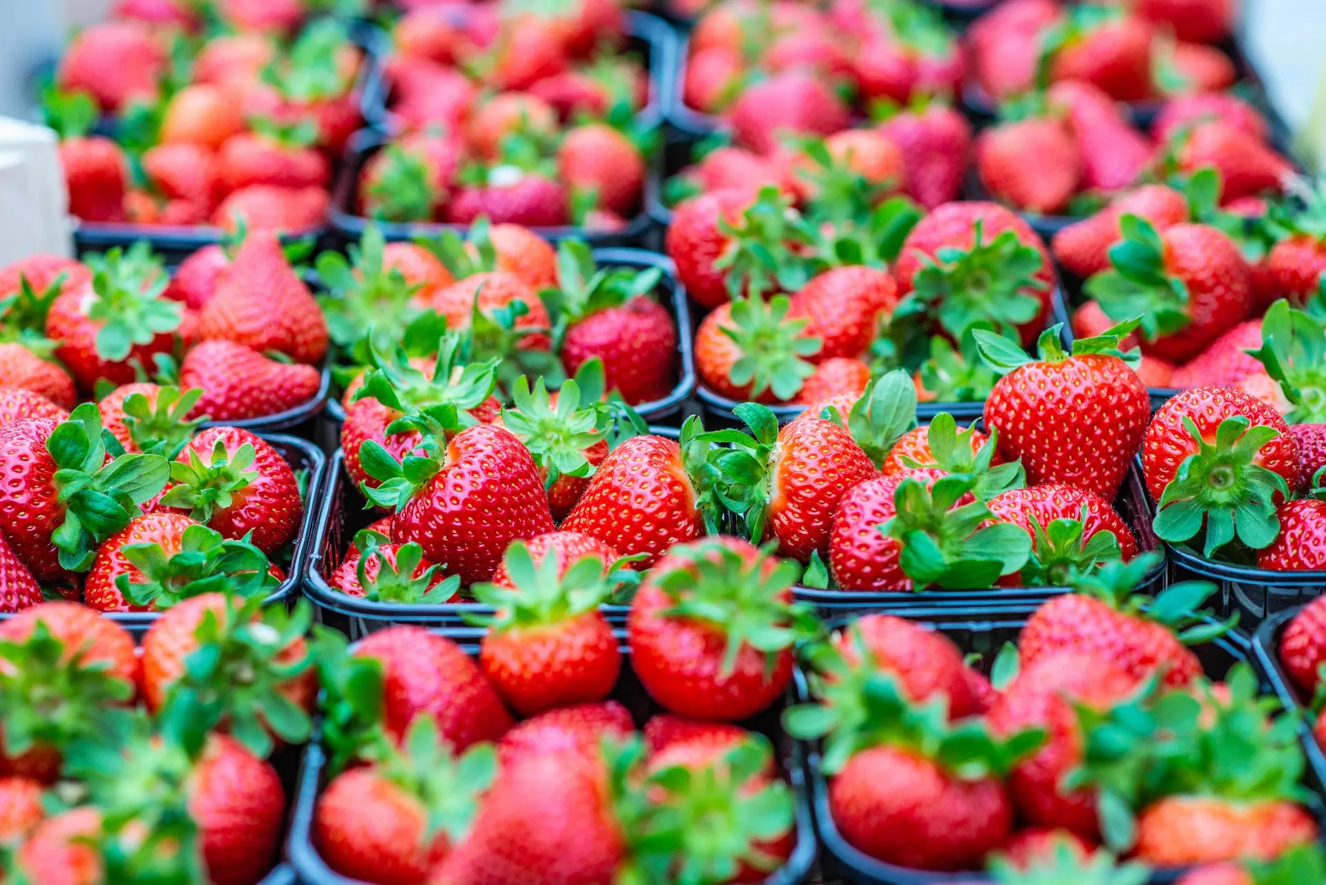Van Haperen Strawberry Shop - Explore Breda