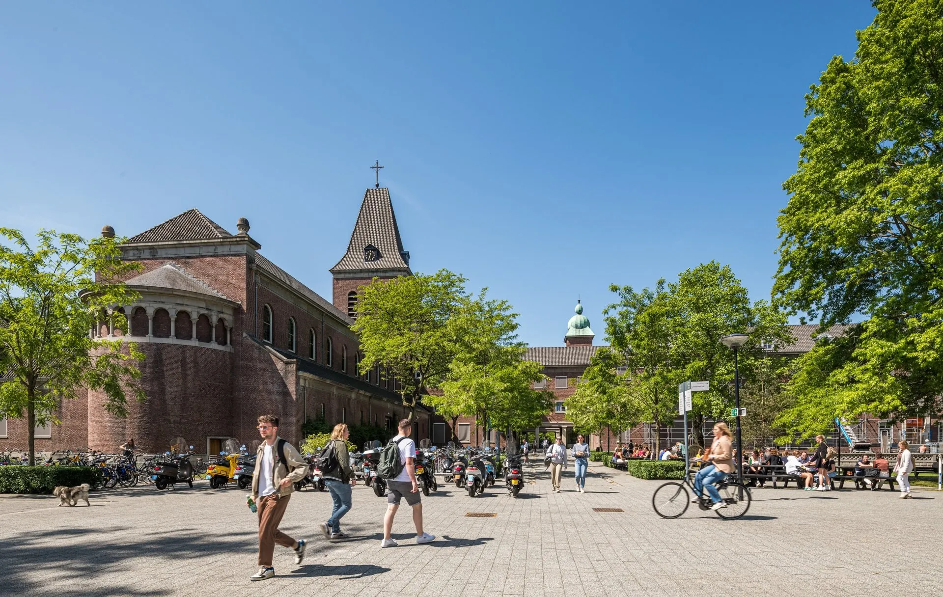 Study in Breda: Top Universities, Student Life & Opportunities